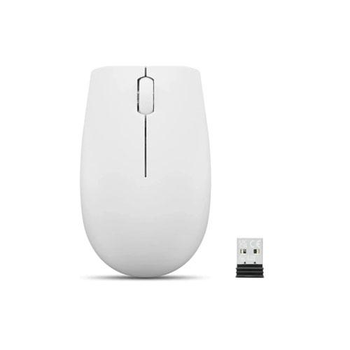 Lenovo 300 USB Cloud Grey Optical Wireless Mouse Dealers in Chennai ...